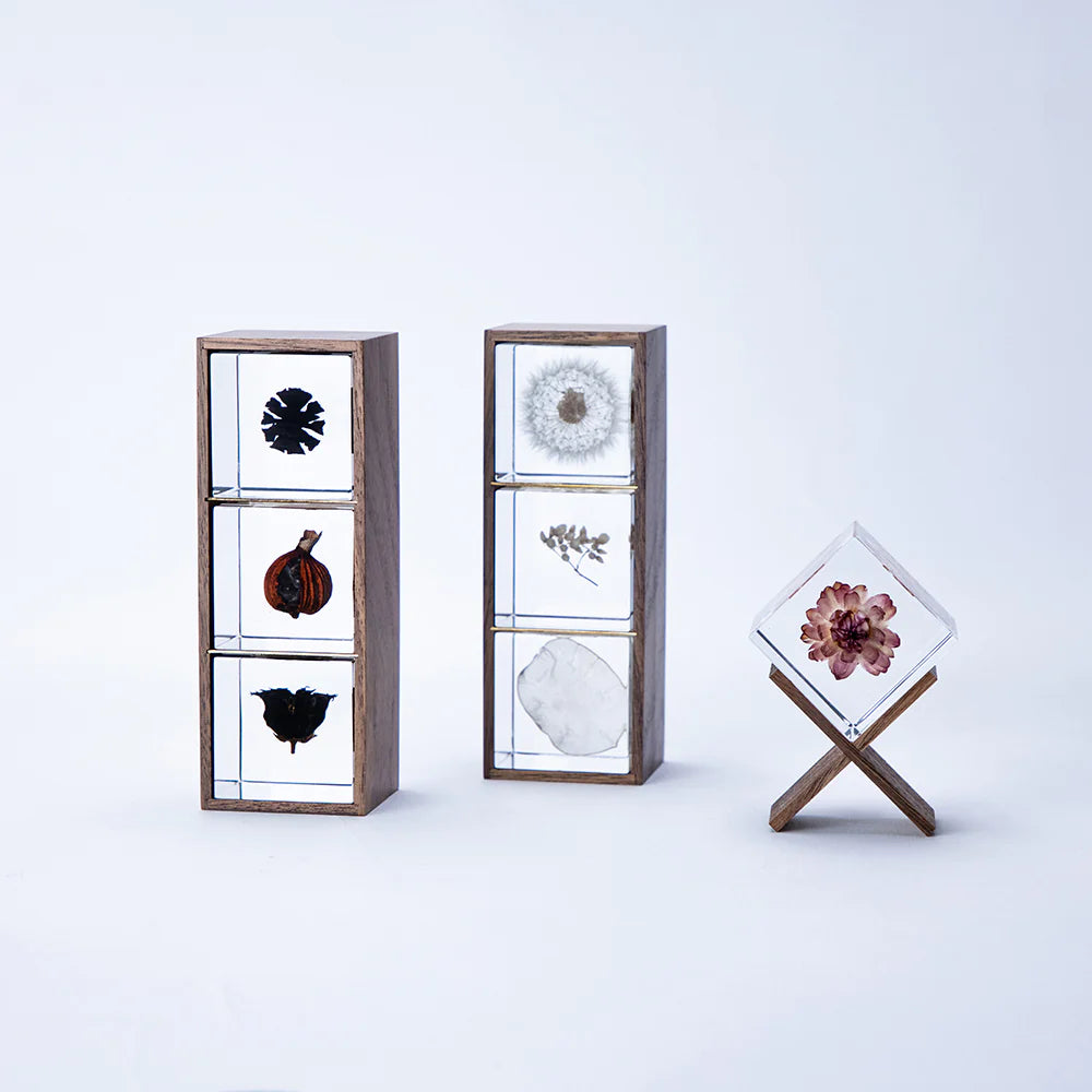 Box for 3 Sola Cubes – STUDIO DEN