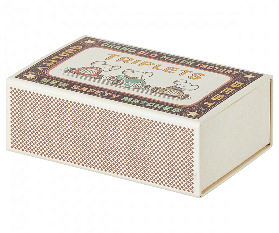 Triplets, Baby Mice in Matchbox – STUDIO DEN