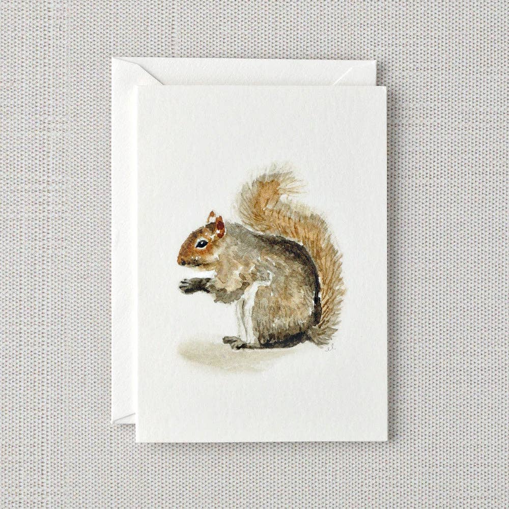 Squirrel mini notecard – STUDIO DEN